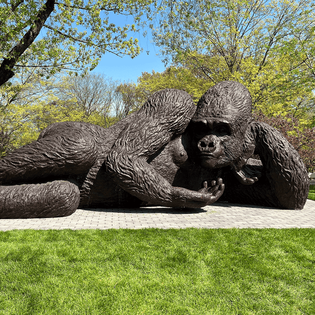 “World’s Largest Bronze Gorilla” Lands in Connecticut – Love the Last